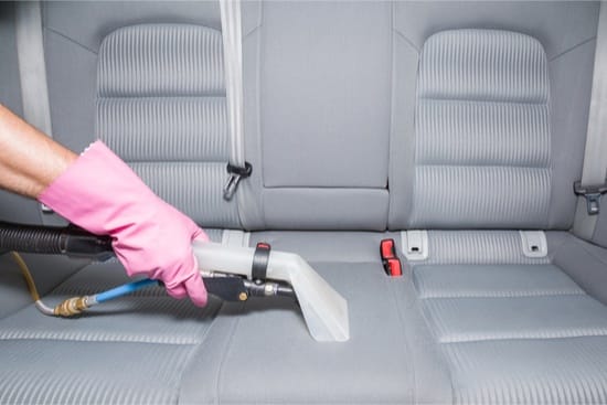 Can Bed Bugs Infest Cars and Upholstery? — Bed Bugs Insider