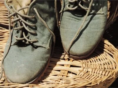 How Do I Get Bugs Out of Shoes? - Bed Bugs Insider