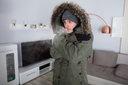 Does Freezing Kill Bed Bugs And Eggs Bed Bugs Insider